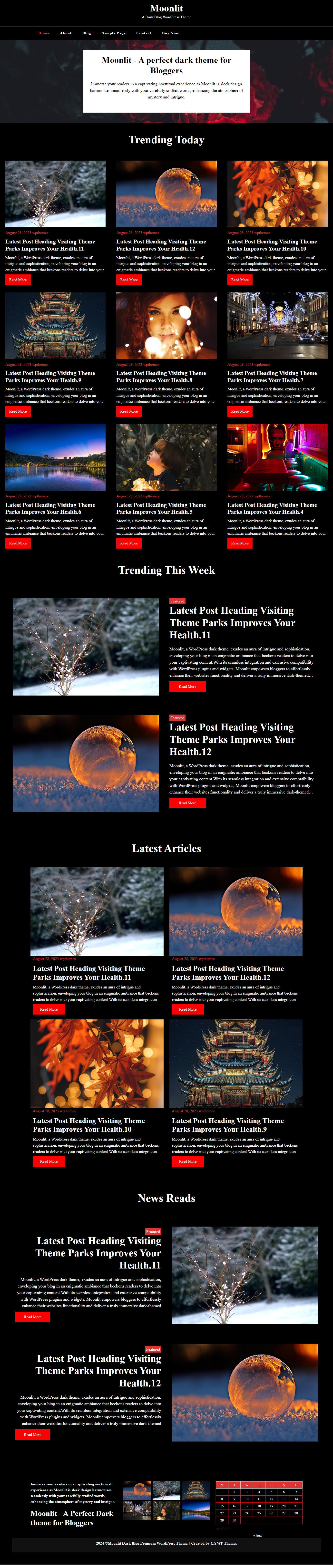 Moonlit Dark Blog Theme - CA Wordpress Themes